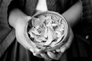 La hoja de coca en el Imperio Inca - Historia del Perú